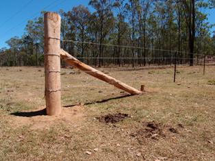 Cattle fencing tips for small farms | Farmstyle Australia
